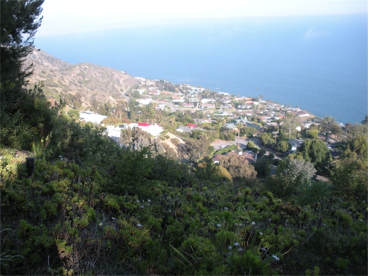 Isabel Roman: Guest: Justin Ordonez