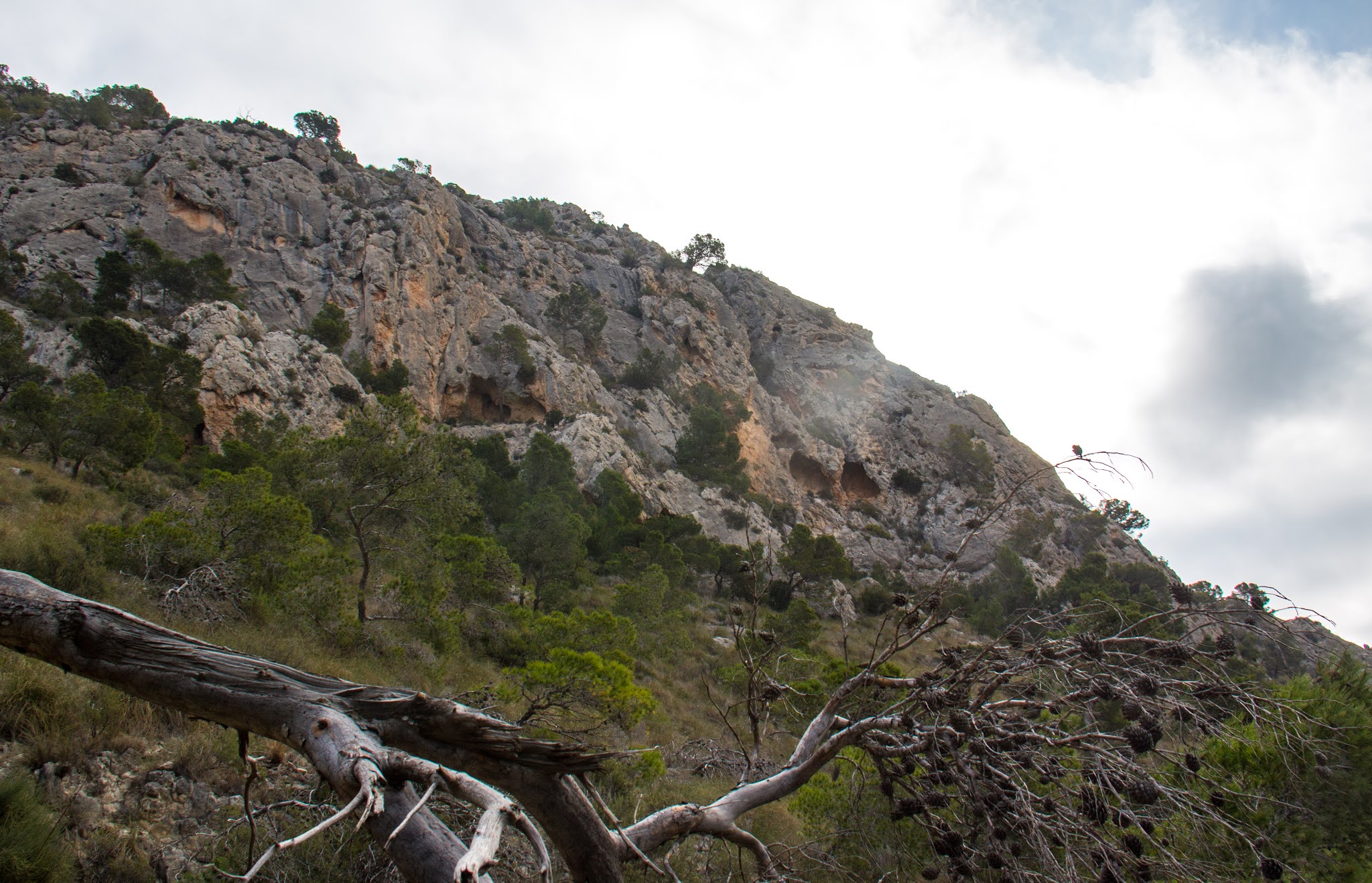 RUTA CIRCULAR AL CERRO DEL AGUDO DESDE BARBARROJA.