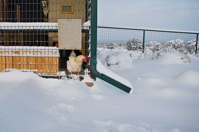 The 7MSN Ranch: We were hoping for a big meltdown