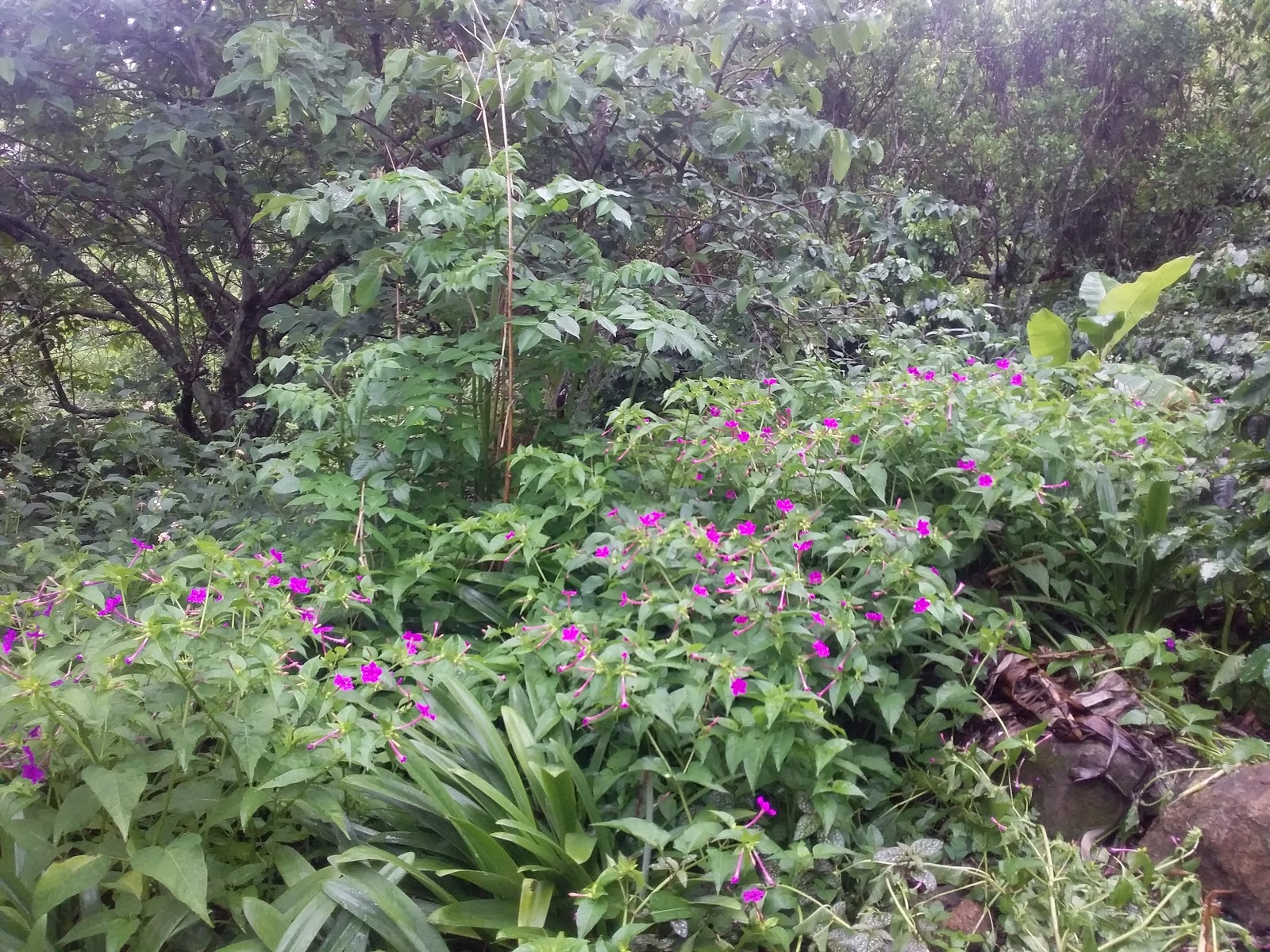 Iyarkai - Royality free photos