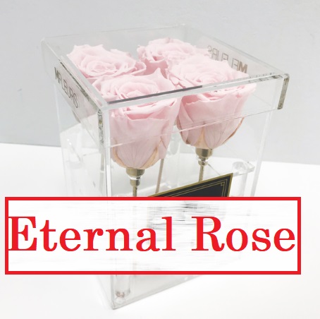 Eternal Rose | This Is Why Eternal Rose Is So Famous! | Galaxy Rose Store