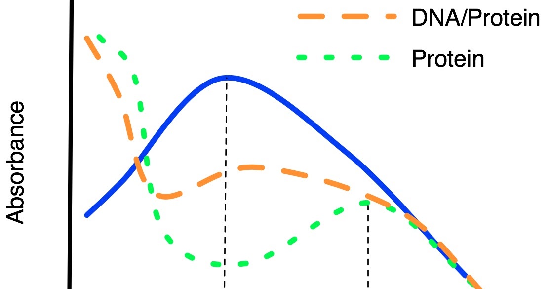 Life Sciences lab classes explained