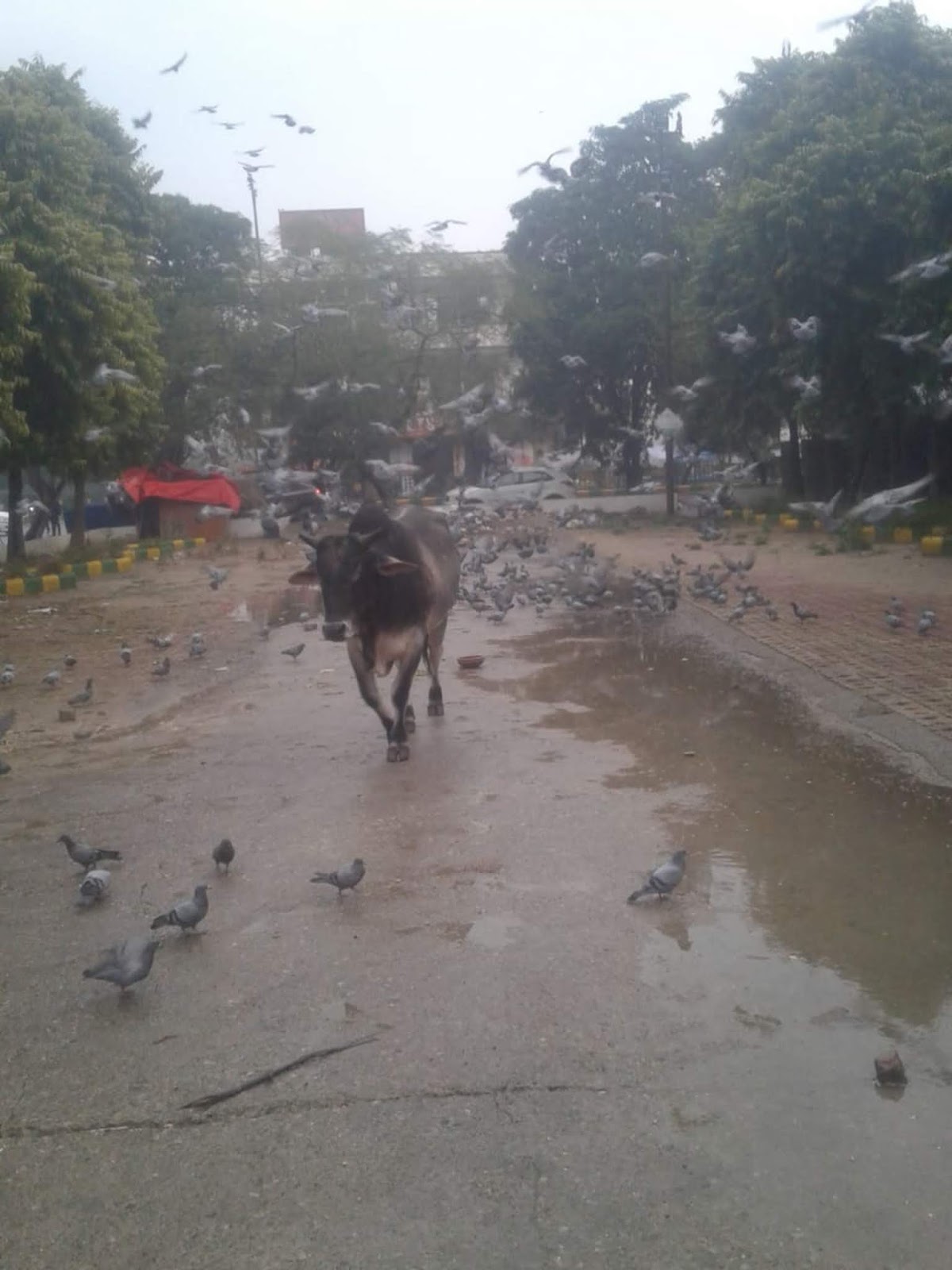 Natural Sean. Nature photo stock free download. ~ Photography stock ...