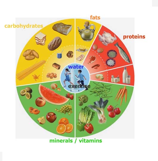 Food and nutrients: "Food wheel". La rueda de los alimentos nos ayuda a ...