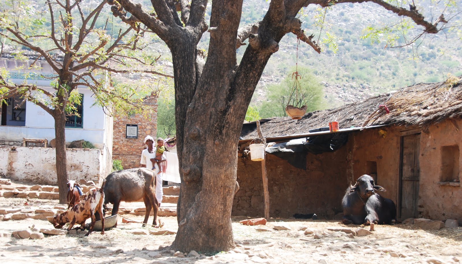 Of Sights and Sounds...: Day 4: Village Life in Rural India