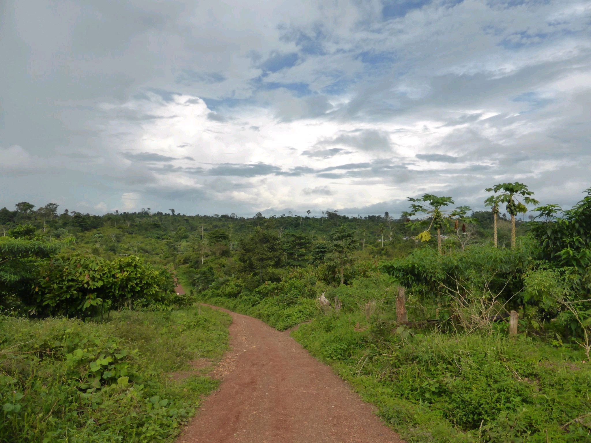 HSBC launches $100 million climate solutions partnership with WRI, WWF