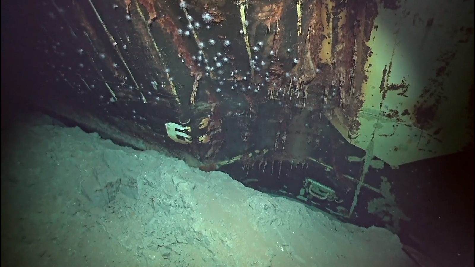 The Wreck of the USS St. Lo