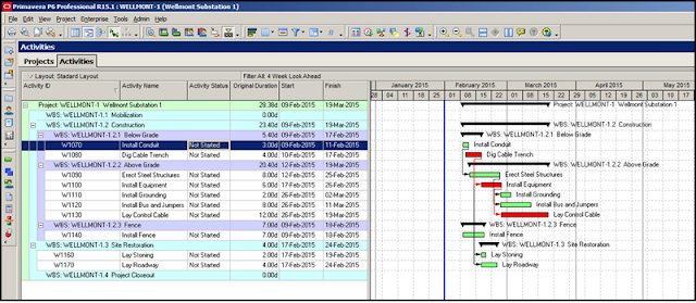 Oracle Primavera P6 em dicas: 2018