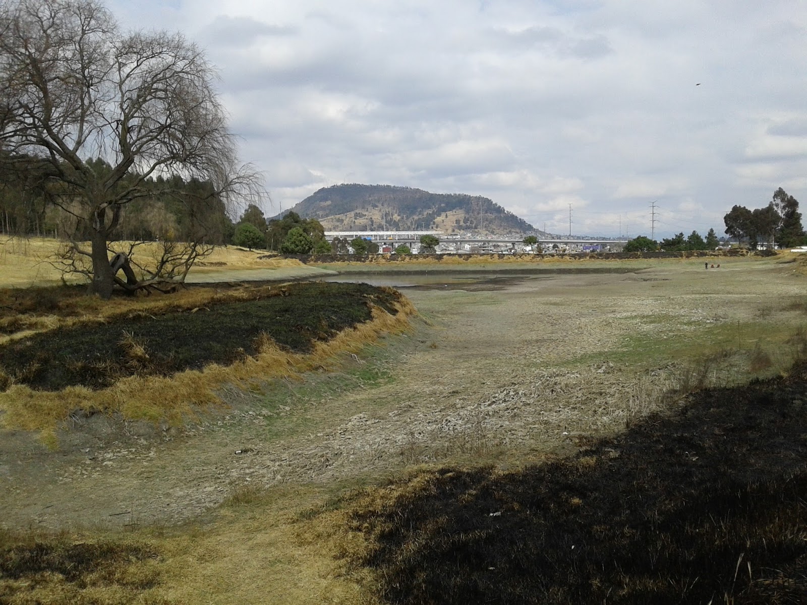 El Blog de El Divino: Parque Alameda 2000