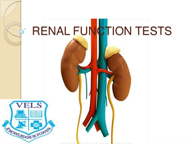 Renal Function Tests Lab Tests Guide renal-function-tests-lab-tests-guide