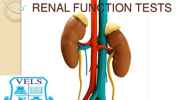 Renal Function Tests ~ Lab Tests Guide