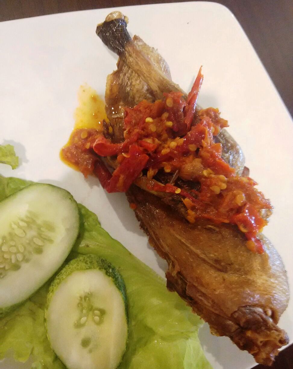 Bebek Dower, Bebek Asli Indonesia Kualitas Dunia - Travel Indonesia