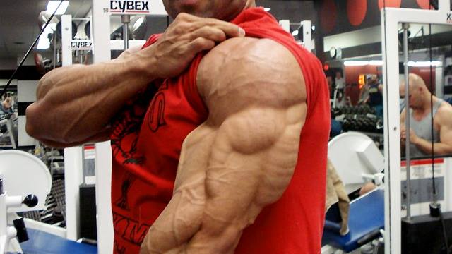 world bodybuilders pictures: italian bodybuildr Eddy Ongaro from rome ...