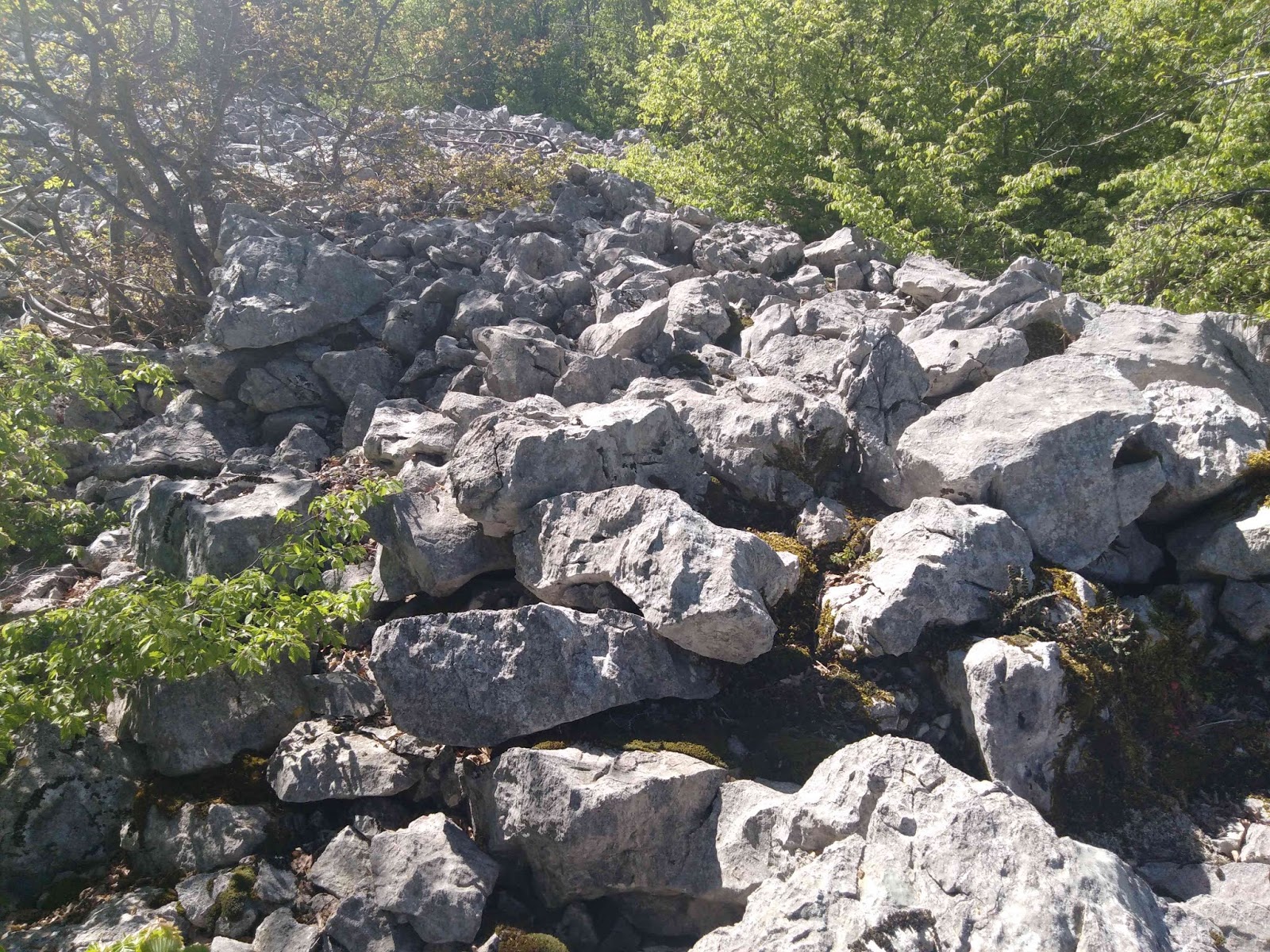 ZABORAVLJENA ILIRSKA GRADINA U GORNJIM MAMIĆIMA KOD ŠIROKOG BRIJEGA ...