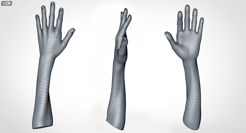 Hand 3D model Realistic | Layth Jawad
