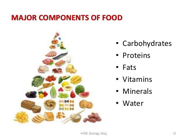 TELUGU WEB WORLD: MAJOR COMPONENTS OF FOOD