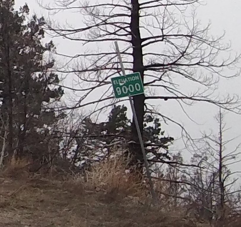 Go West old man!: Safford AZ day 2; Mt. Graham, Cluff Ranch