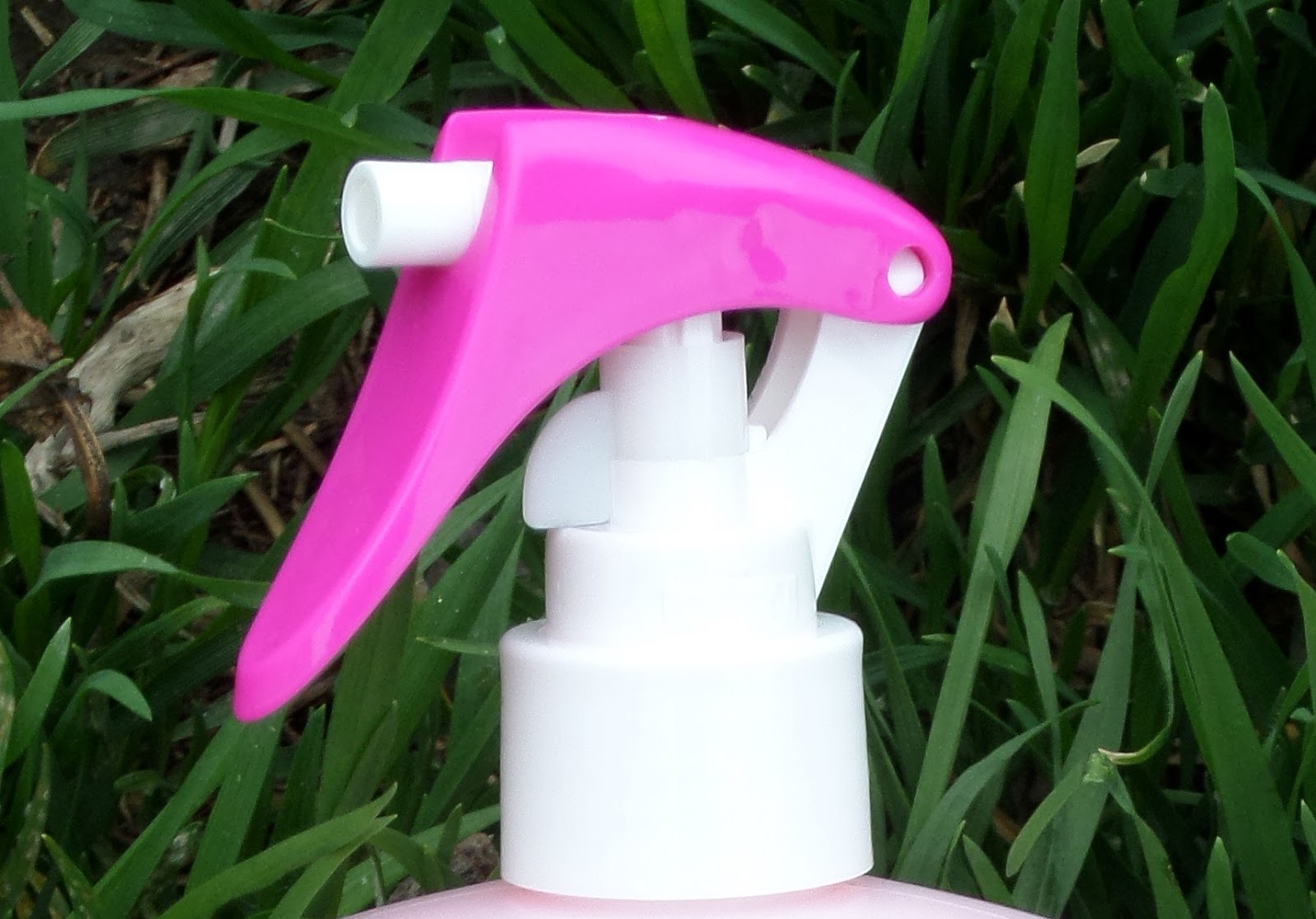 Didi's Blog : Pentru un par matasos si stralucitor