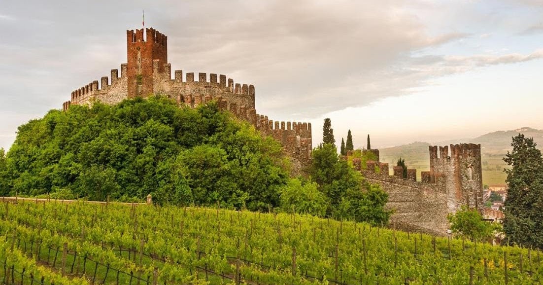 Soave Terroir: un libro e un progetto per raccontare il Soave