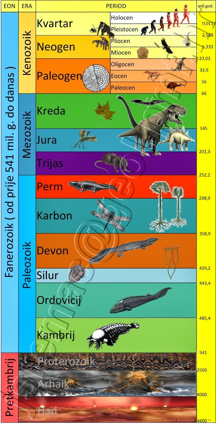 Razvoj živog svijeta: Paleozoik