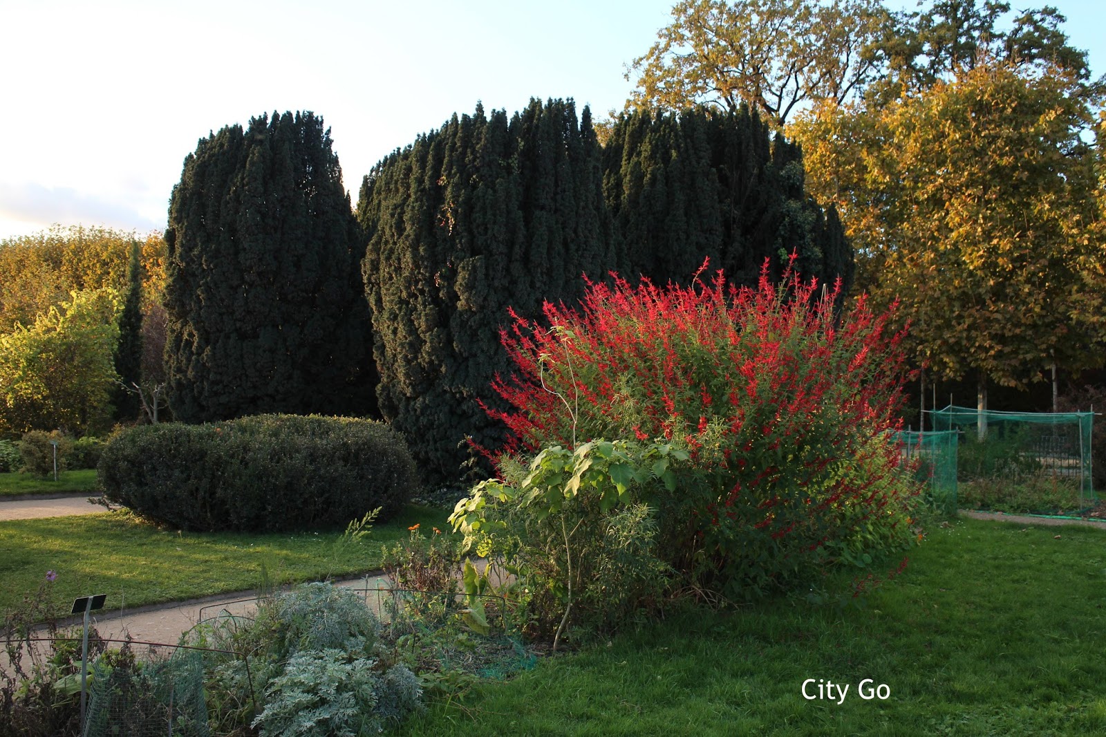 Le Jardin des Plantes, Paris, France