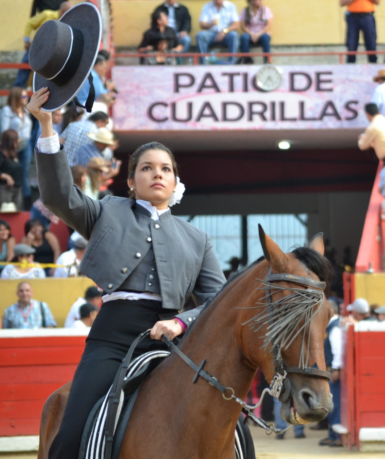 Notiferias en Venezuela y el Mundo: DETALLES DE LA FIESTA BRAVA