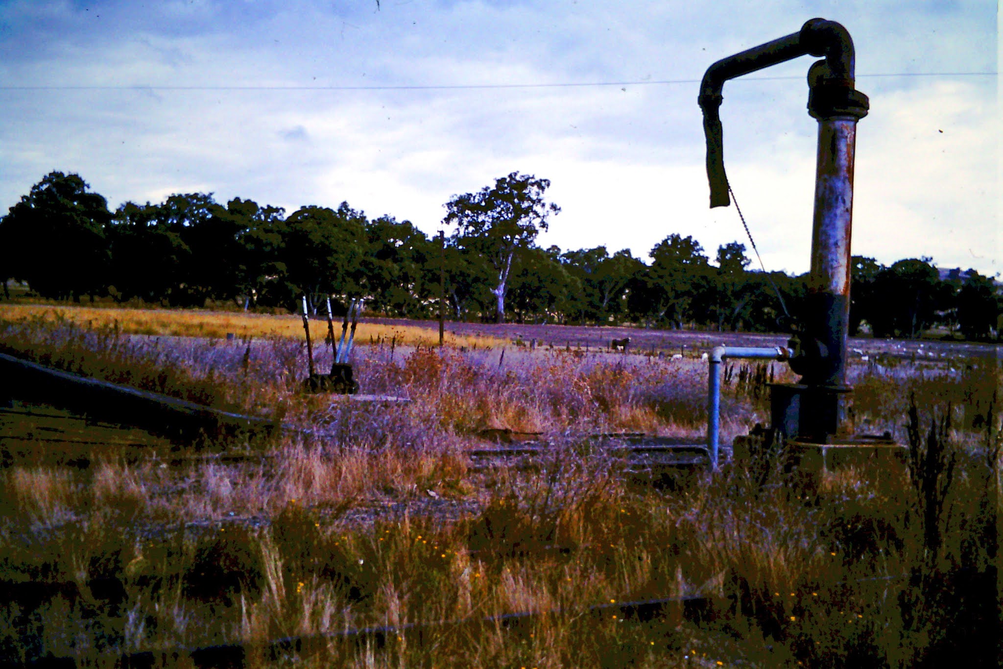 Building Wagga: A visit to Humula