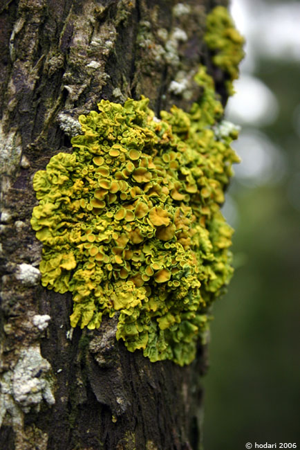 No me vengas con historias: Mi micro tuneado