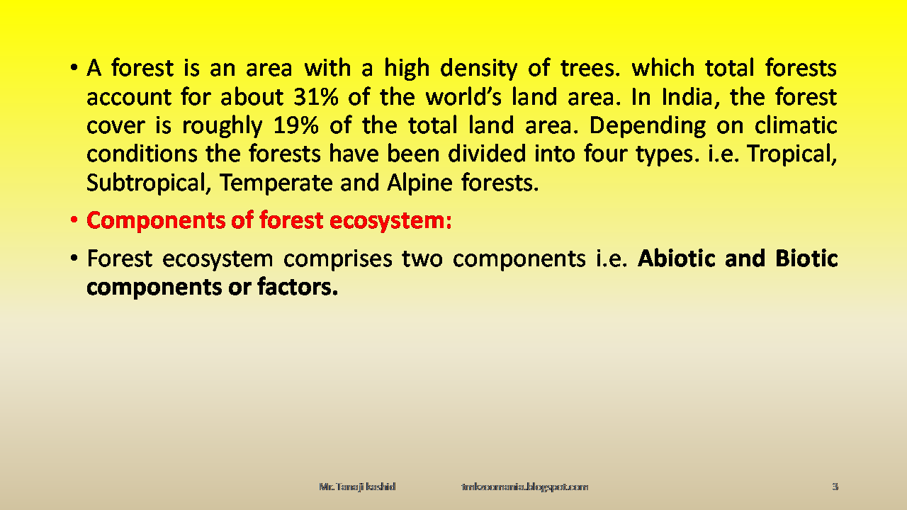 tmkzoomania: Forest Ecosystem : an example of terrestrial ecosystem