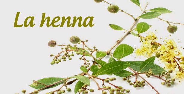 HENNA RADICO GUATEMALA