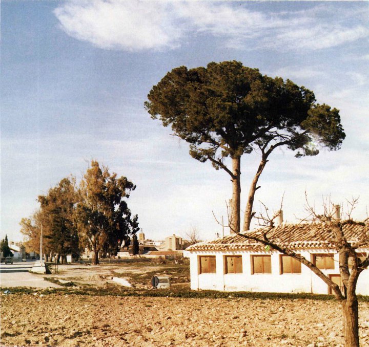 Bullas - Región de Murcia - España | Bulleros de Murcia