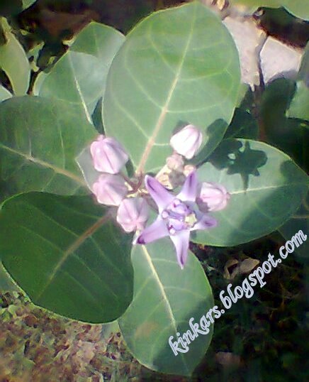 Adhyatma (अध्यात्म): November 2015