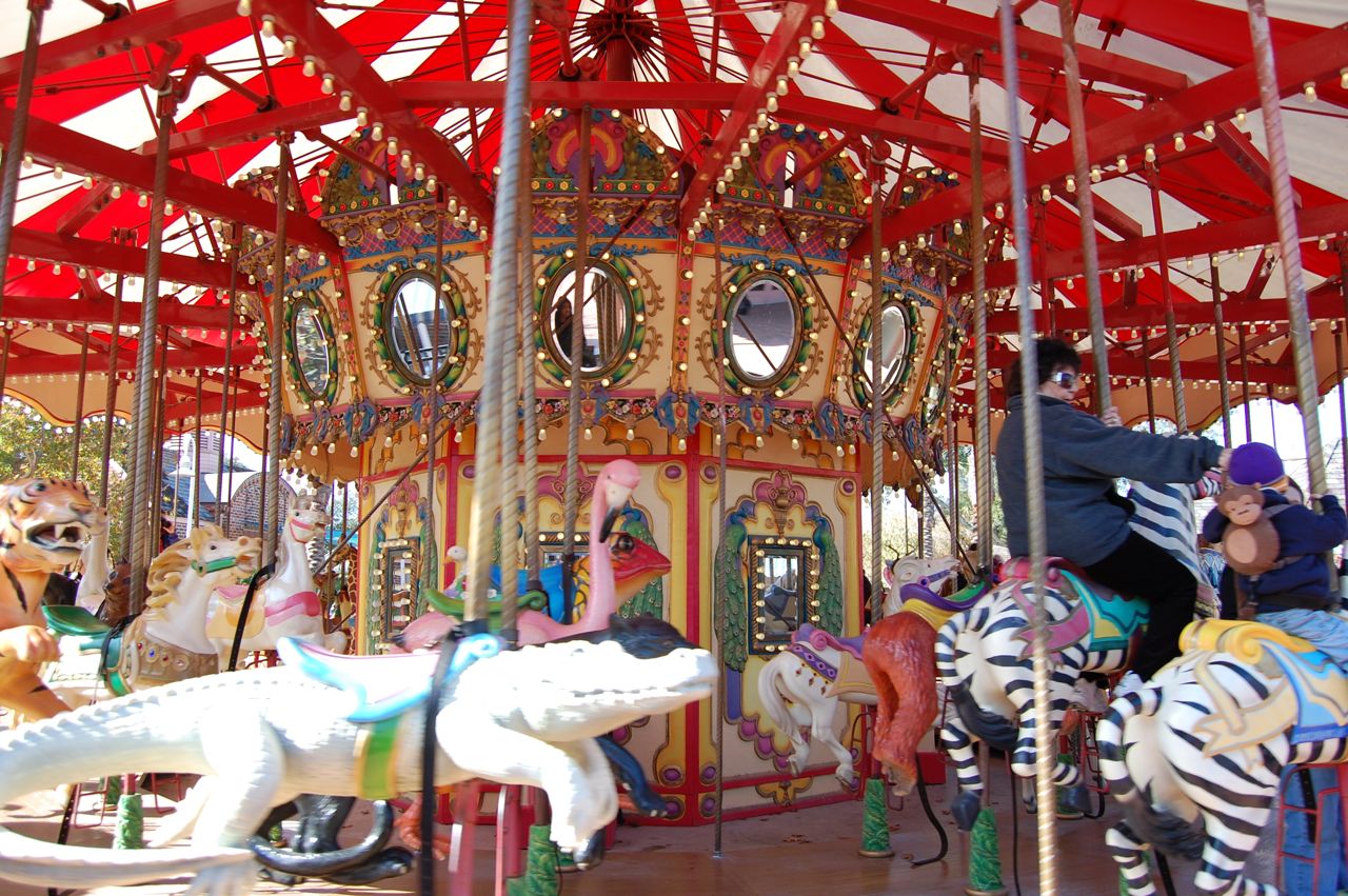 The Old Fashioned Baby Sewing Room: My Fun Time at the Audubon Zoo in ...