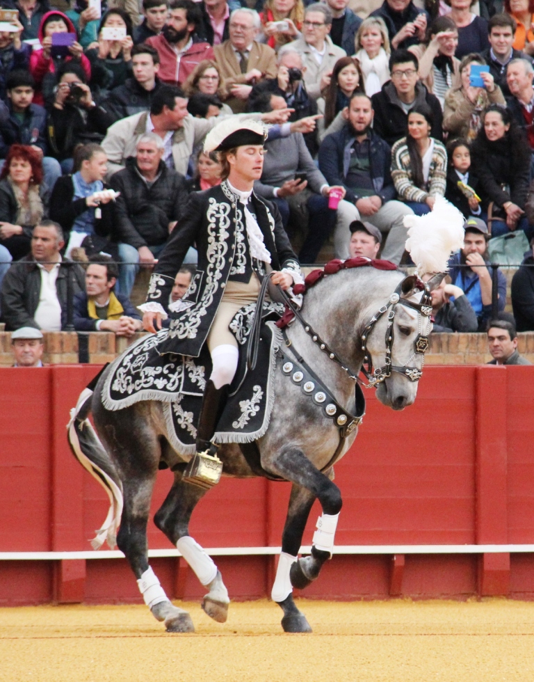 Rui Fernandes: “Quando se toureia no Campo Pequeno, os níveis de ...