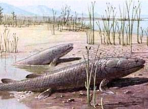 Ian's Art: First land animals