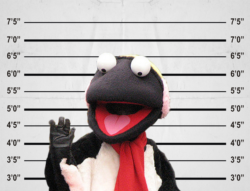 Wtov9 Snowbird Download - lehrrok