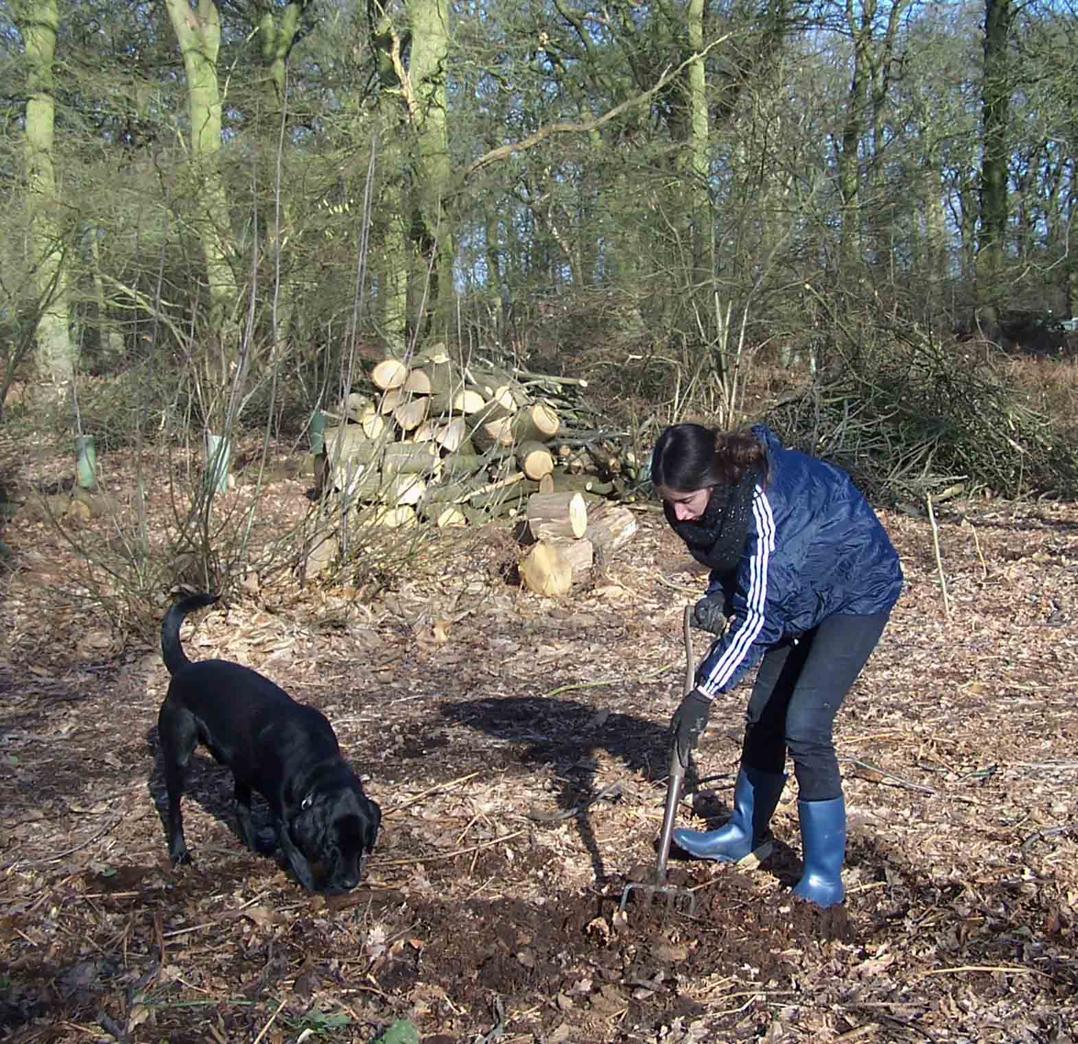 EcoDIY www.ecodiy.org: Planking and tree planting with our WWOOFer