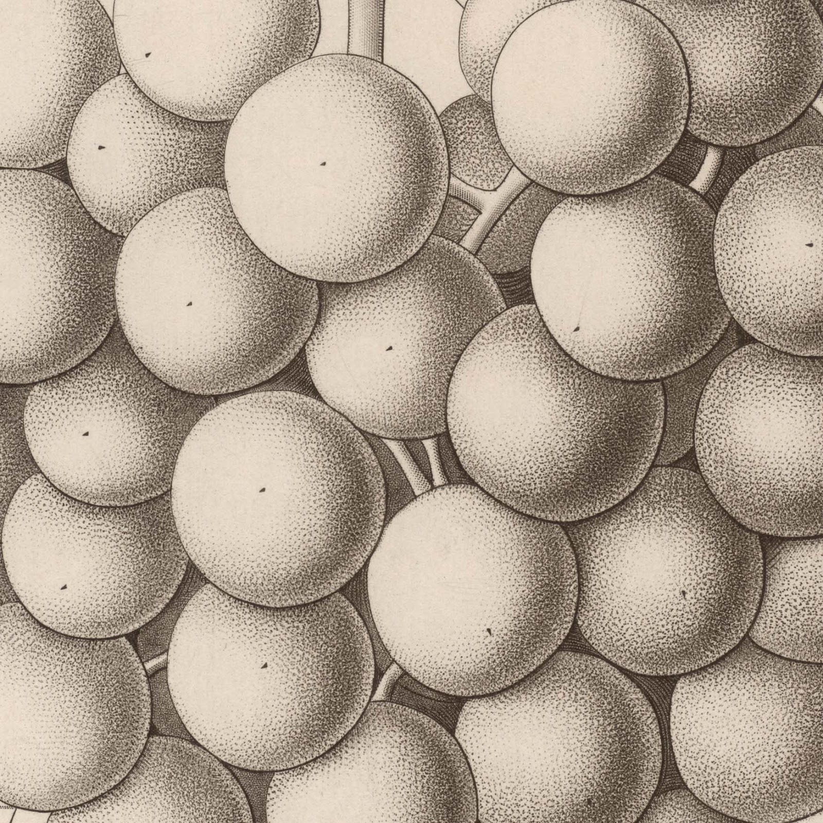 Prints and Principles: Pierre-Victor Galland’s lithograph, “Gros ...