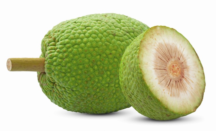 Breadfruit Nutrition Fact - Twin Fruit