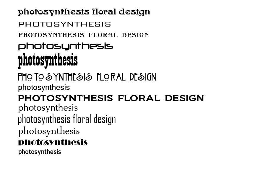 navyblueshoe: Home Page Design Process: Photosynthesis Floral Design