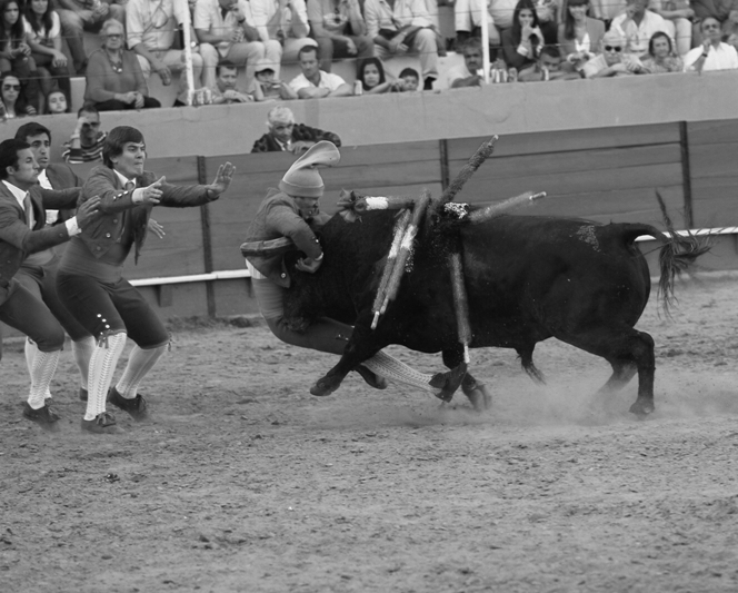 Diário Taurino: José Maria Cortes: Para sempre na nossa memória!