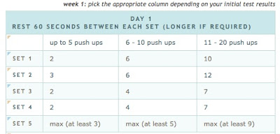 make a run for it: 100 Push-Ups Challenge