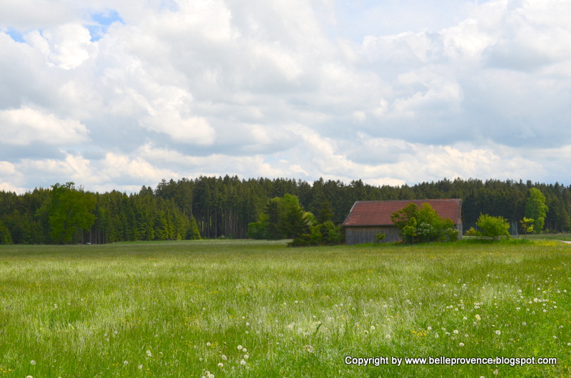 Belle Provence: Eine zauberhafte Wiese ...