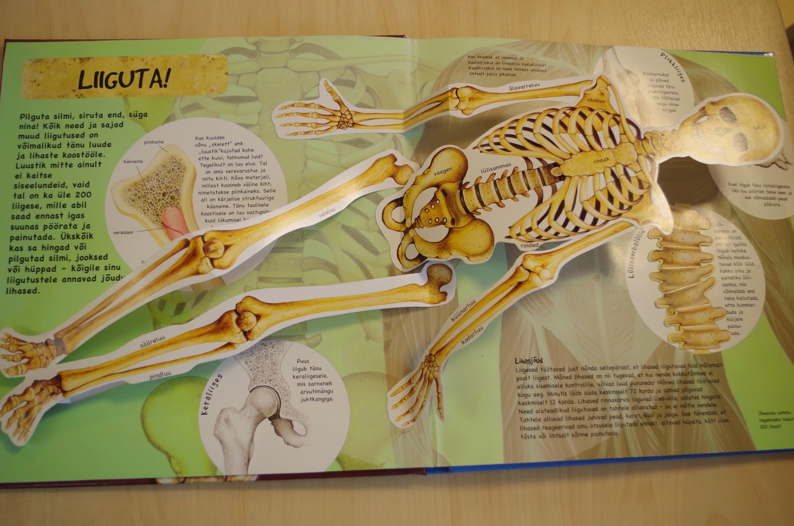 Samm-sammult tarkuse poole: Uurime inimkeha