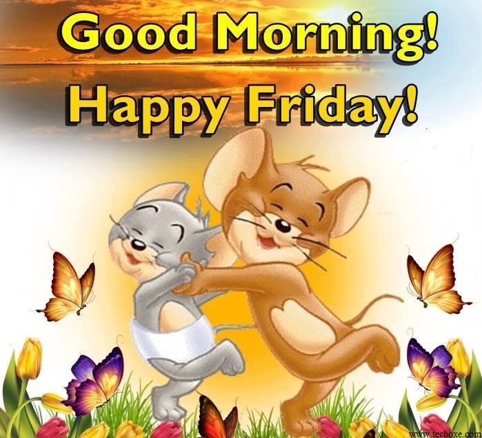 Funny Happy Friday Images With Quotes For Facebook Whatsapp Pinterest