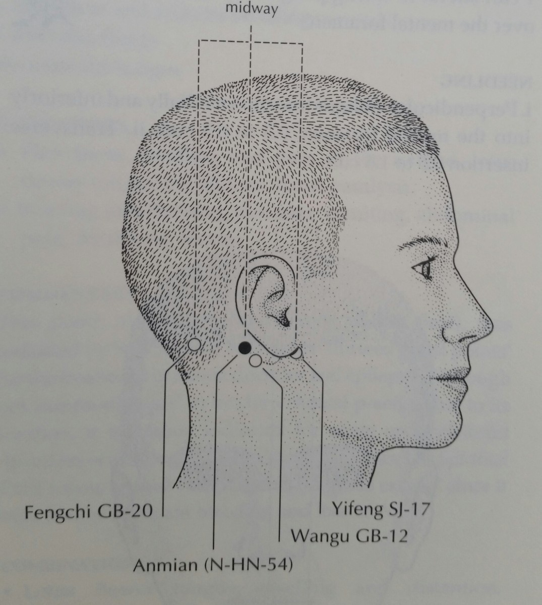 Blog Le Souffle du Menhir: VB 12 Wan Gu / Wán Gǔ 骨完 Os entier