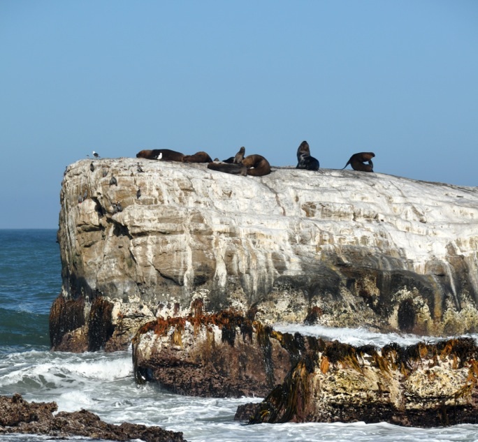 Uplifted island | Geology In