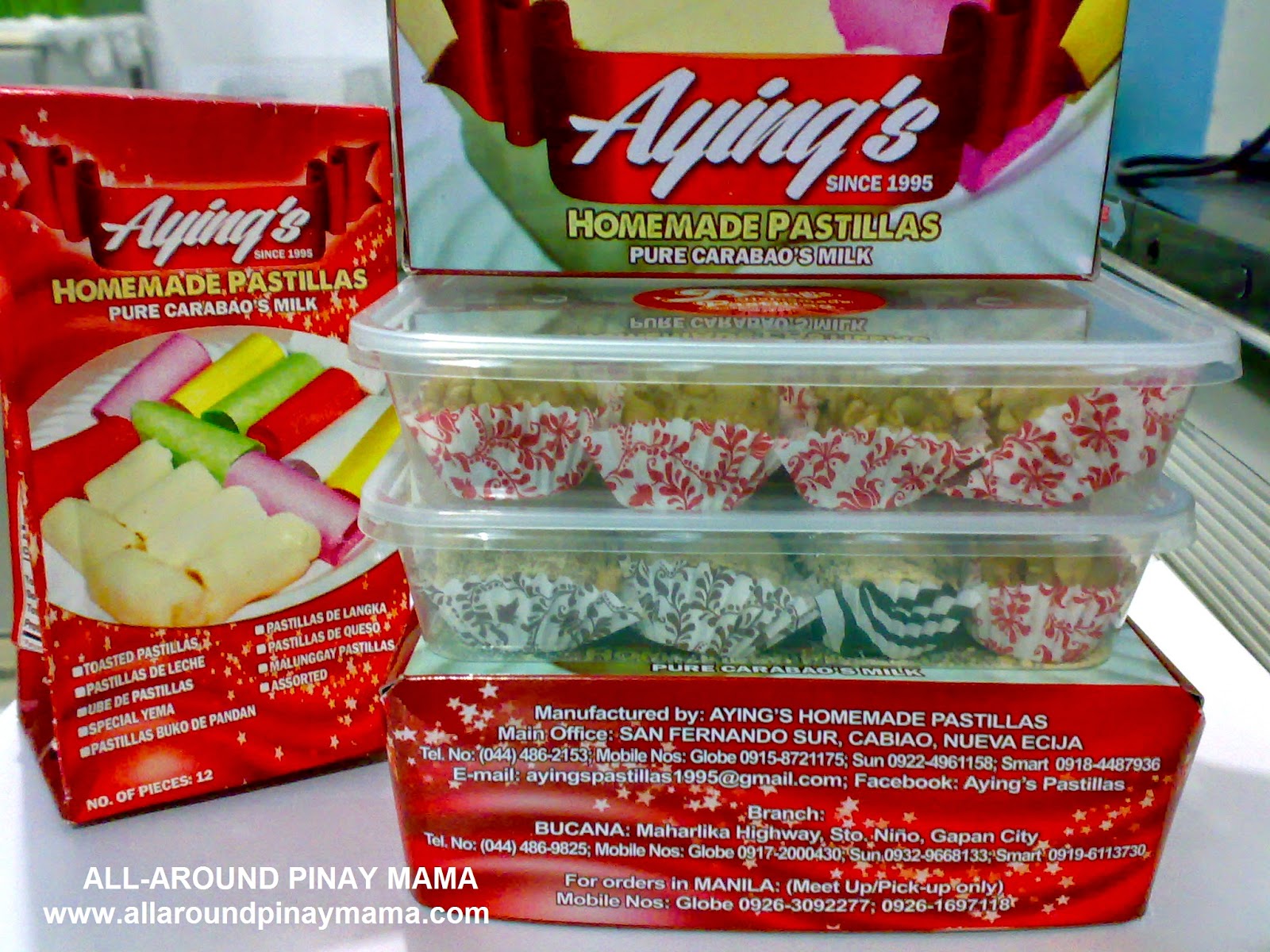 Aying's Homemade Pastillas: A Taste of Home | All-Around Pinay Mama