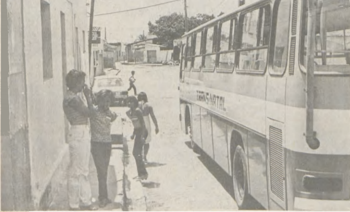 NATALBUS: TRANS NATAL