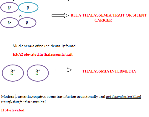 THALASSEMIA-TYPES & PATHOPHYSIOLOGY